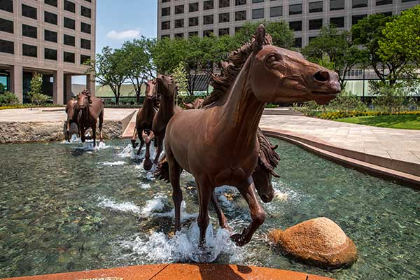 Irving Marks 40 Years of Mustangs of Las Colinas with Online Series