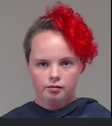 Collin County Woman Charged with Felonies in Disturbing Animal Cruelty Case